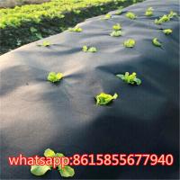 China PP Woven Landscape Fabric Weed Barrier 100gsm 1.6m Wide Anti Weed Mat Ground Cover for sale