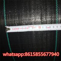 China PP Woven Landscape Fabric Weed Barrier 100gsm 1.6m Wide Anti Weed Mat Ground Cover for sale