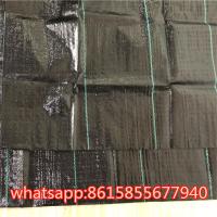China PP Woven Landscape Fabric Weed Barrier 100gsm 1.6m Wide Anti Weed Mat Ground Cover for sale