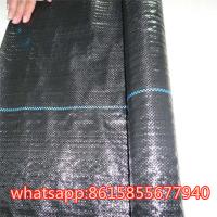 China PP Woven Landscape Fabric Weed Barrier 100gsm 1.6m Wide Anti Weed Mat Ground Cover for sale