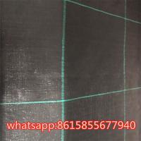 China Landscape Fabric – Weed Barrier Cloth for sale