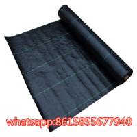 China Landscape Fabric – Weed Barrier Cloth for sale