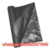 China PP Ground Cover Weed Barrier Fabric 100gsm 1.6m Wide Anti Weed Mat for Garden for sale