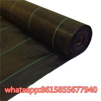 China PP Ground Cover Weed Barrier Fabric 100gsm 1.6m Wide Anti Weed Mat for Garden for sale
