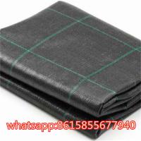 China PP Ground Cover Weed Barrier Fabric 100gsm 1.6m Wide Anti Weed Mat for Garden for sale