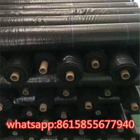 China PP Ground Cover Weed Barrier Fabric 100gsm 1.6m Wide Anti Weed Mat for Garden for sale