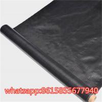 China PP Ground Cover Weed Barrier Fabric 100gsm 1.6m Wide Anti Weed Mat for Garden for sale