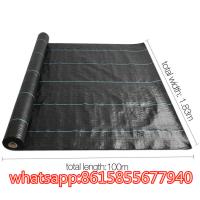 China PP Ground Cover Weed Barrier Fabric 100gsm 1.6m Wide Anti Weed Mat for Garden for sale