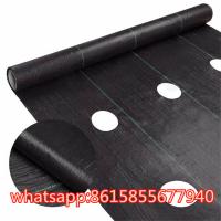 China PP Ground Cover Weed Barrier Fabric 100gsm 1.6m Wide Anti Weed Mat for Garden for sale