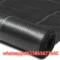 China PP Ground Cover Weed Barrier Fabric 100gsm 1.6m Wide Anti Weed Mat for Garden for sale