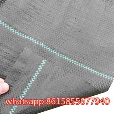 China PP Ground Cover Weed Barrier Fabric 100gsm 1.6m Wide Anti Weed Mat for Garden for sale