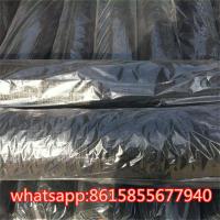 China PP Ground Cover Weed Barrier Fabric 100gsm 1.6m Wide Anti Weed Mat for Garden for sale