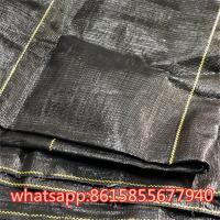 China PP Ground Cover Weed Barrier Fabric 100gsm 1.6m Wide Anti Weed Mat for Garden for sale