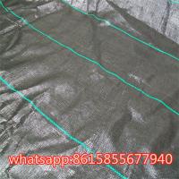 China PP Ground Cover Weed Barrier Fabric 100gsm 1.6m Wide Anti Weed Mat for Garden for sale