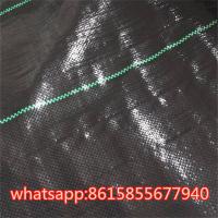 China PP Woven Weed Barrier 100m Roll 60-400gsm Black Anti Grass Landscape Fabric Ground Cover for sale