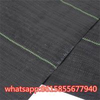 China PP Woven Weed Barrier 100m Roll 60-400gsm Black Anti Grass Landscape Fabric Ground Cover for sale