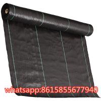 China 3ft x 300ft 400ft 500ft Heavy Duty Weed Barrier Landscape Fabric 100% PP Anti Grass Mat for sale
