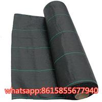 China 80GSM Green Fabric Weed Mat for sale