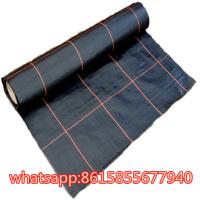 China 80GSM Green Fabric Weed Mat for sale