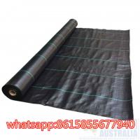 China 80GSM Green Fabric Weed Mat for sale