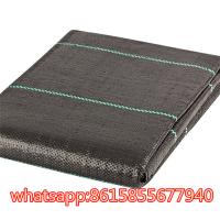 China 80GSM Green Fabric Weed Mat for sale