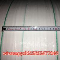 China 80GSM Green Fabric Weed Mat for sale