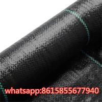 China 80GSM Green Fabric Weed Mat for sale