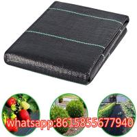 China 80GSM Green Fabric Weed Mat for sale