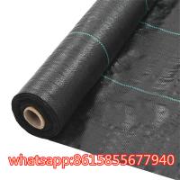 China PP Woven Anti Weed Barrier Geotextile Ground Cover Mat 60gsm 400gsm for Agriculture Garden for sale