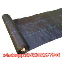 China PP Woven Anti Weed Barrier Geotextile Ground Cover Mat 60gsm 400gsm for Agriculture Garden for sale