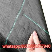 China PP Woven Anti Weed Barrier Geotextile Ground Cover Mat 60gsm 400gsm for Agriculture Garden for sale