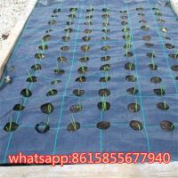 China PP Woven Anti Weed Barrier Geotextile Ground Cover Mat 60gsm 400gsm for Agriculture Garden for sale
