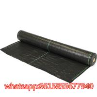 China PP PE Woven Weed Control Mat Fabric 60gsm 400gsm Black Green Agricultural Ground Cover for sale