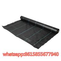 China PP PE Woven Weed Control Mat Fabric 60gsm 400gsm Black Green Agricultural Ground Cover for sale