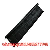 China PP PE Woven Weed Control Mat Fabric 60gsm 400gsm Black Green Agricultural Ground Cover for sale