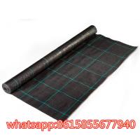 China PP PE Woven Weed Control Mat Fabric 60gsm 400gsm Black Green Agricultural Ground Cover for sale