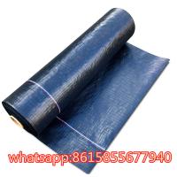 China PP PE Woven Weed Control Mat Fabric 60gsm 400gsm Black Green Agricultural Ground Cover for sale