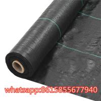 China PP PE Woven Weed Control Mat Fabric 60gsm 400gsm Black Green Agricultural Ground Cover for sale