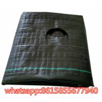 China PP PE Woven Weed Control Mat Fabric 60gsm 400gsm Black Green Agricultural Ground Cover for sale