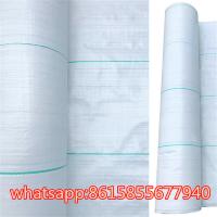 China PP PE Woven Weed Control Mat Fabric 60gsm 400gsm Black Green Agricultural Ground Cover for sale