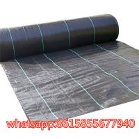 China PP PE Woven Weed Control Mat Fabric 60gsm 400gsm Black Green Agricultural Ground Cover for sale