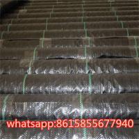 China PP PE Woven Weed Control Mat Fabric 60gsm 400gsm Black Green Agricultural Ground Cover for sale