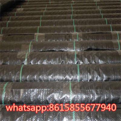 China PP PE Woven Weed Control Mat Fabric 60gsm 400gsm Black Green Agricultural Ground Cover for sale