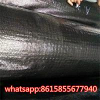 China PP PE Woven Weed Control Mat Fabric 60gsm 400gsm Black Green Agricultural Ground Cover for sale
