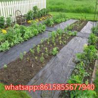China PP PE Woven Weed Control Mat Fabric 60gsm 400gsm Black Green Agricultural Ground Cover for sale