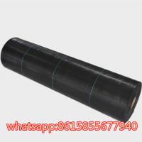 China Anti Weed Mat Black Mulch Polypropylene Agriculture Farming Weed Barrier Fabric 60gsm 400gsm for sale
