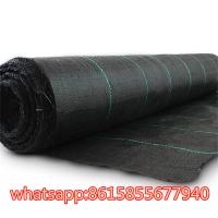 China PP Woven Weed Barrier Mat 60gsm-400gsm 0.5m-6m Width Garden Ground Cover Fabric for sale