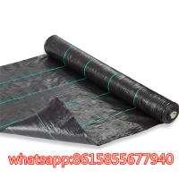 China PP Woven Weed Barrier Mat 60gsm-400gsm 0.5m-6m Width Garden Ground Cover Fabric for sale