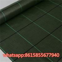 China PP Woven Weed Barrier Mat 60gsm-400gsm 0.5m-6m Width Garden Ground Cover Fabric for sale