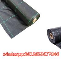China Non Woven Anti Weed Mat Ground Cover 100% PP Fabric 60gsm 400gsm Weed Barrier for sale